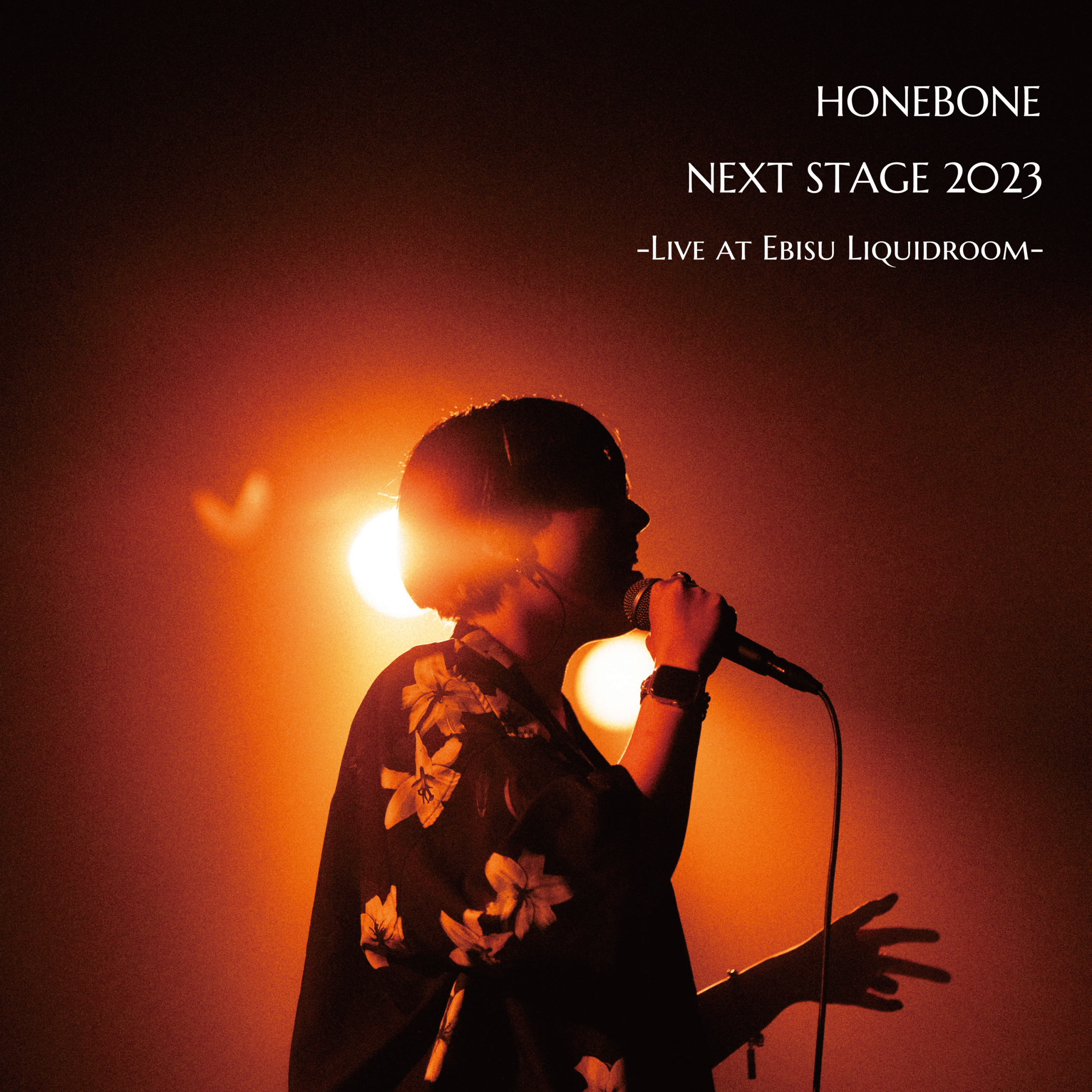 HONEBONE OFFICIAL SITE | フォークデュオHONEBONE(ホネボーン)のオフィシャルサイト。出演オファーなどもこちらから受け付けております。